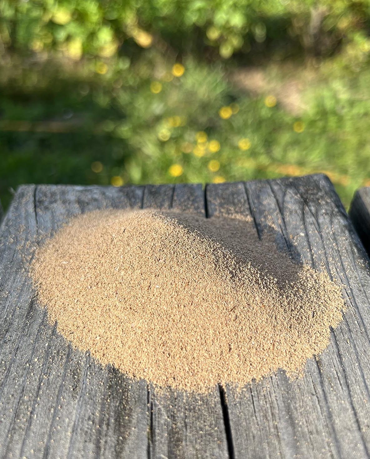 Verme Ditoso - Verme ditoso abono orgánico